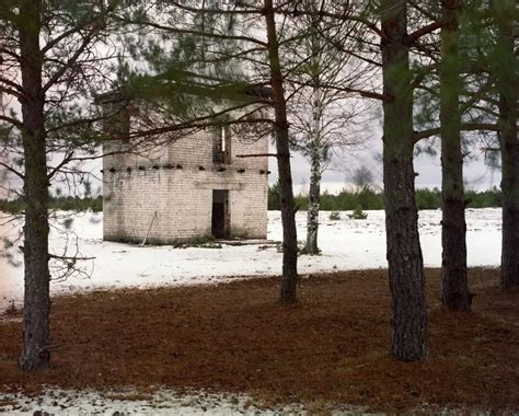 Can You Spot The Hidden Sniper In This Photo Adult Humor