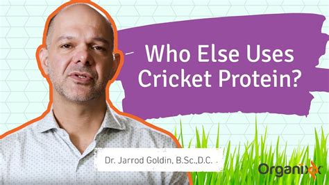 Countries That Eat Crickets Nutritional Secret Used By Cultures