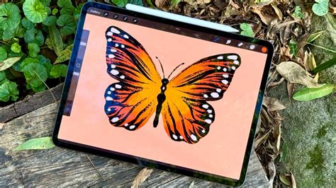 Animate Hpge Enrichment Program