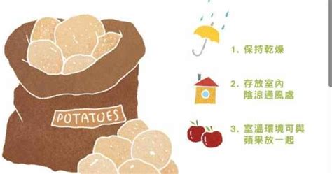 馬鈴薯怎樣不能吃？10大禁忌與正確食用法完整指南