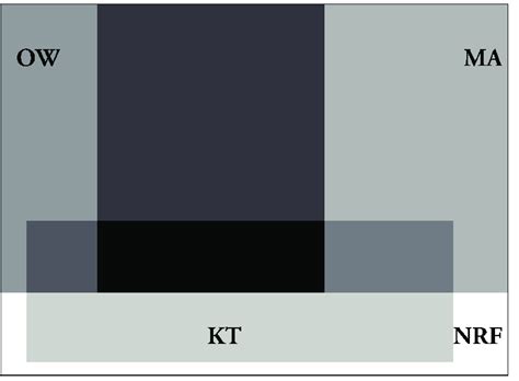 Overlap Of Risk Factors In The Female Population Of The Nested Cohort