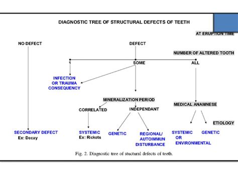 Dental Abnormalities On Genetic Background New Visionpptx
