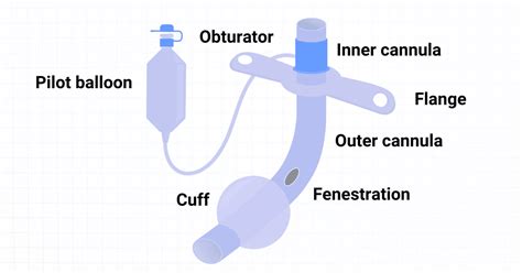 Cuffed Tracheostomy Tube Vs Uncuffed