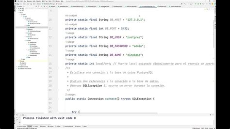 Conexión Con Base De Datos Postgres Pasos Iniciales Swing Vii Youtube
