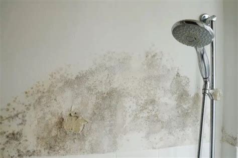 Bathroom Shower Tile Leaking