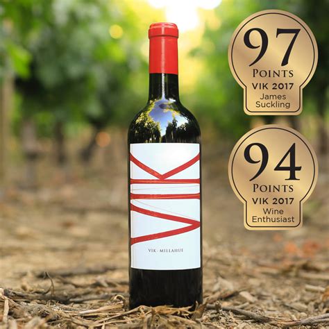 Tours Y Experiencias Vik Vik Chile