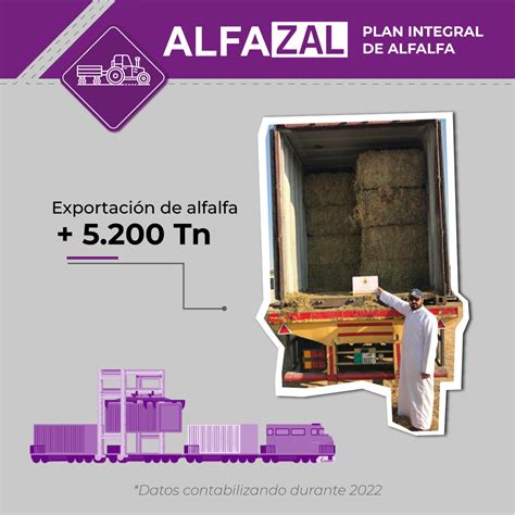 Ansl La Zona De Actividades Logísticas De Villa Mercedes Moviliza