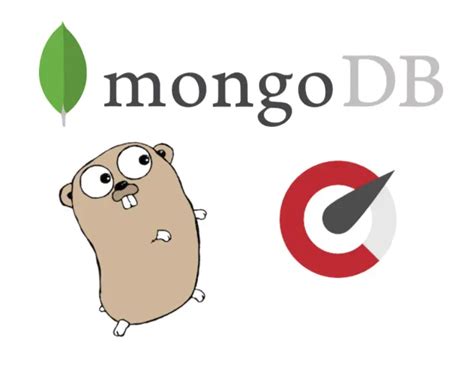 How To Use Custom Encoders In Mongo Go