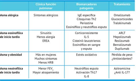 Tipos De Asma Encuentra La Clasificación Correcta