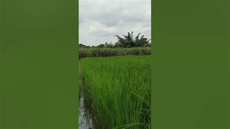 Bhakti Cha Mala Youtube