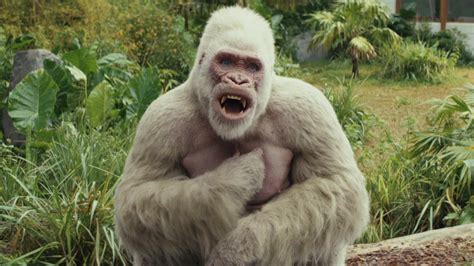 Rampage 2018 Backdrops — The Movie Database Tmdb