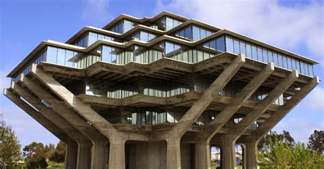 Crazy Bald Guy The Geisel Library