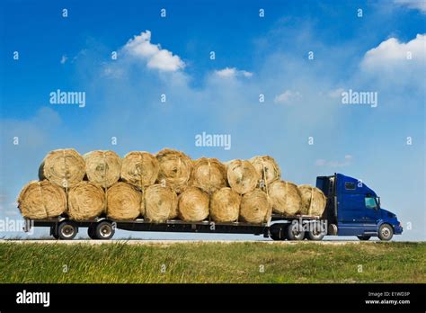A Truck Loaded With Round Hay Bales On A Country Road Manitoba