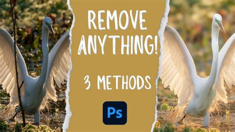 Best Ways To Remove Objects From Photos Youtube