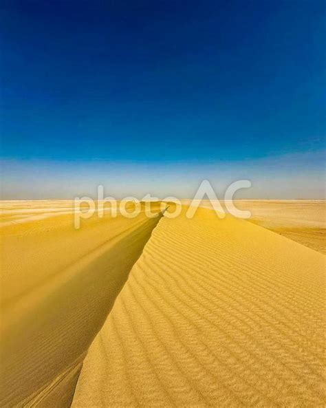 サハラ砂漠の広大な景色 No 31319820｜写真素材なら「写真ac」無料（フリー）ダウンロードok