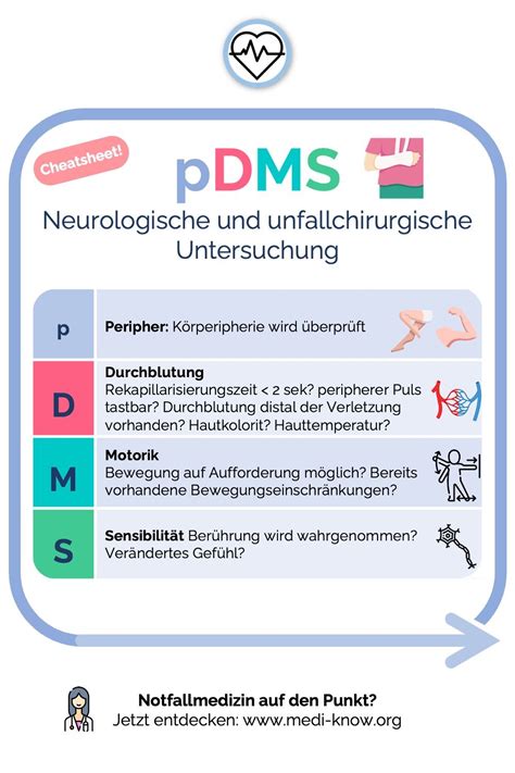 Pdms Artofit