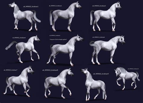 The Unruly Centaur Shock And Awe Arabian Poses A Small Collection