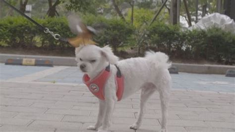 인쇄하기