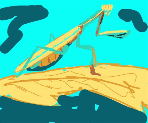 Praying Mantis Drawception Praying Mantis Drawception
