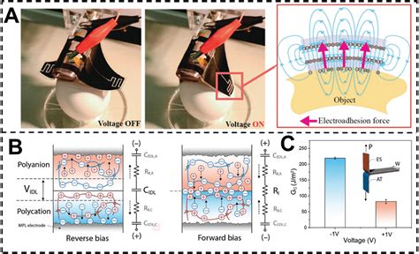 Switchable Adhesion On‐demand Bonding And Debonding Liu 2022
