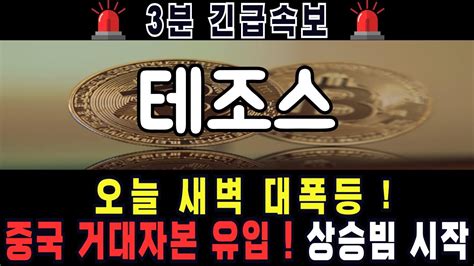 테조스 홍콩 인커버스 대규모 자금 유입 바로 00시간 폭등 확정 입니다테조스 테조스코인전망 테조스코인 Youtube
