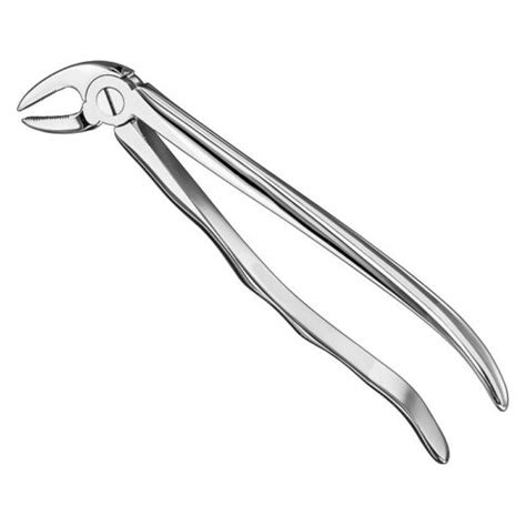 Extracting Forceps Anat Faltex Instruments