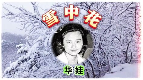 华娃演唱《雪中花》 Youtube