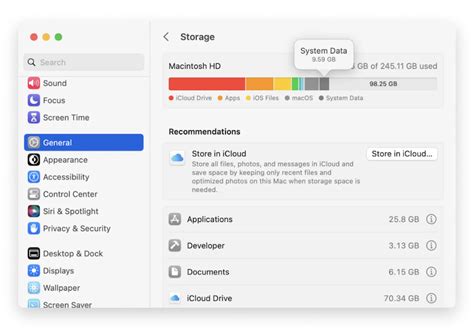 How to clear system data storage on Mac
