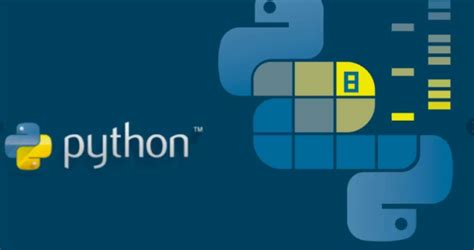 how much does python cost