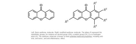 Novel Algorithm Can Help Design Medicines With Quantum Computing Pasqal