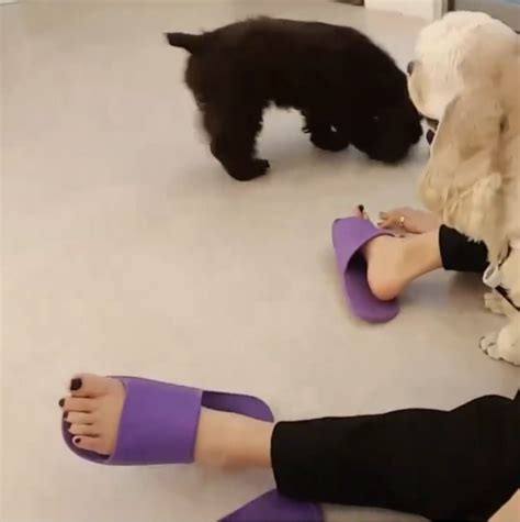 Jennie Kims Feet