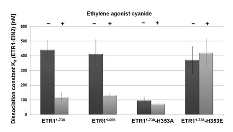 New Paradigm In Ethylene Signaling Ein2 The Central Regulator Of The