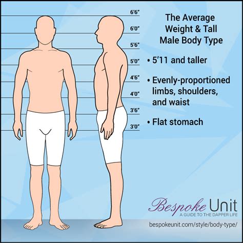 What Is Model Height And Weight At Clayton Cooper Blog