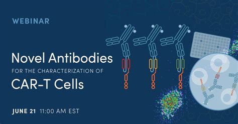 Webinar Our New G4s And Whitlow Linker Antibodies Allow You To