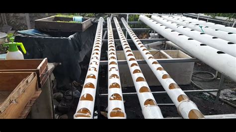 Como Desinfectar Módulo Hidroponico Parte 2 Youtube