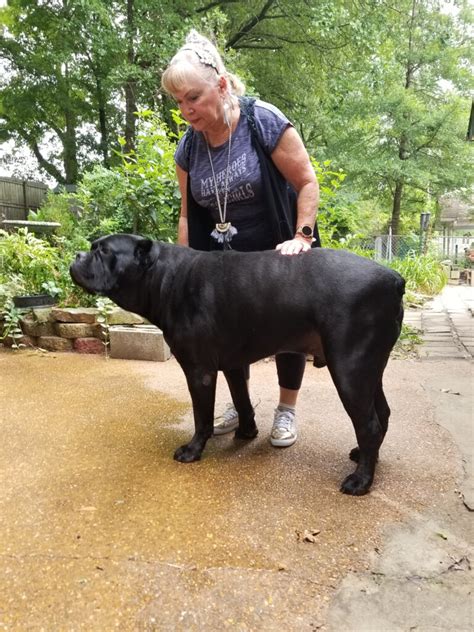 Community Champion Amber Storey Knight Wbbj Tv