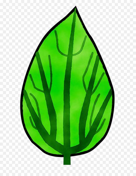 Free Leaf Plant Stem Tree Green Png Nohatcc
