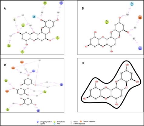 The 2d Intermolecular Interactions Between Ligand Atoms And The Target Download Scientific