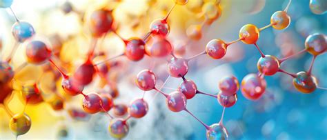 Molecular Models The Architects Of Understanding Build Bridges Between