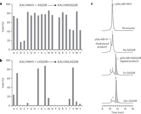 Acceptor Specificity Of Butelase Mediated Peptide Ligation A