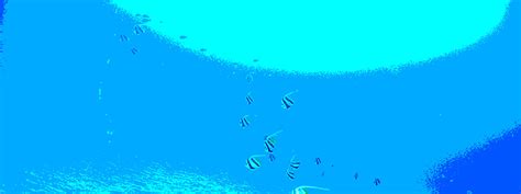 恵比寿潜酔会：エビセン・フォトコン2019