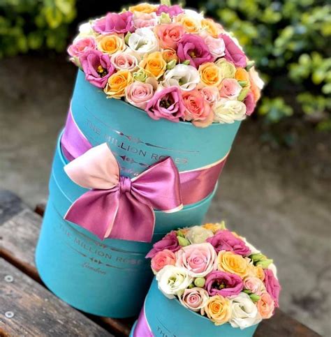 Beautiful Pink And Orange Flowers In Blue Pails