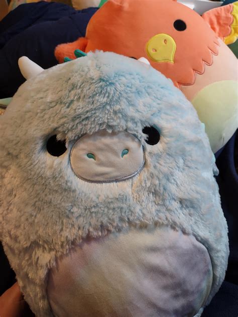 We Get One T Christmas Eve I Chose Lorelai Rsquishmallow