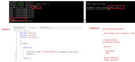 【linux】进程信号