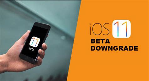 Downgrade IOS Beta To IOS On IPhone IPad Without Data Losing