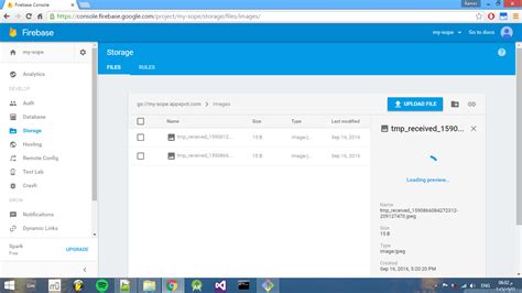 Angularjs My Ionic App Sends Empty Images To Firebase Storage Stack