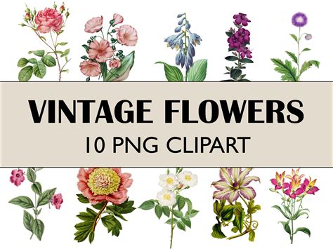 Flowers Clipart Vintage Collage Cutouts Gráfico Por Wildflower