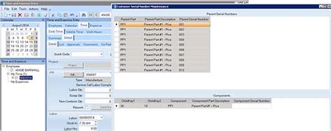 Serialized Components Tracking Individual Components Throughout The Application Epicor ERP