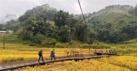 What Do Do In Lao Cai Top Things To Do For Your Northern Vietnam Trip