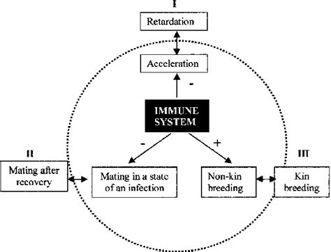 The Role Of Immune System In Shaping Of The Behavioral Strategies Of